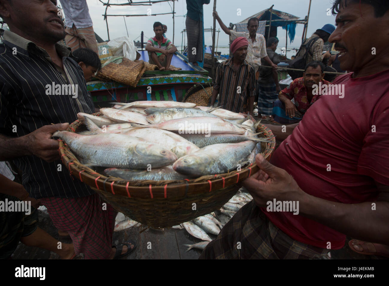Workers unload Hilsa fish from the trawler at the fish landing station ...
