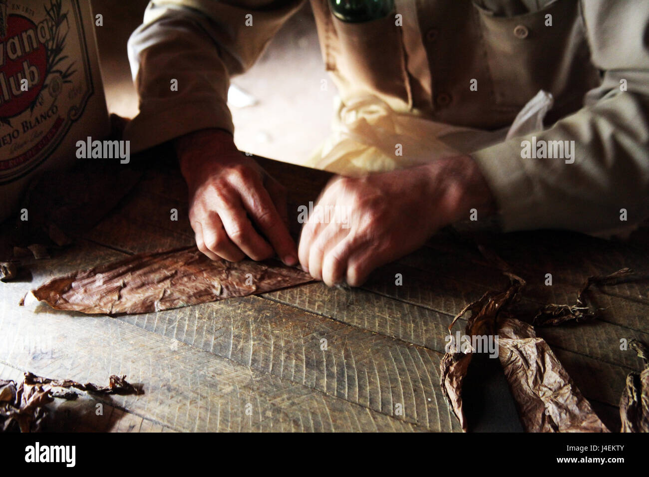 Cuba cigar rolling hi-res stock photography and images - Alamy