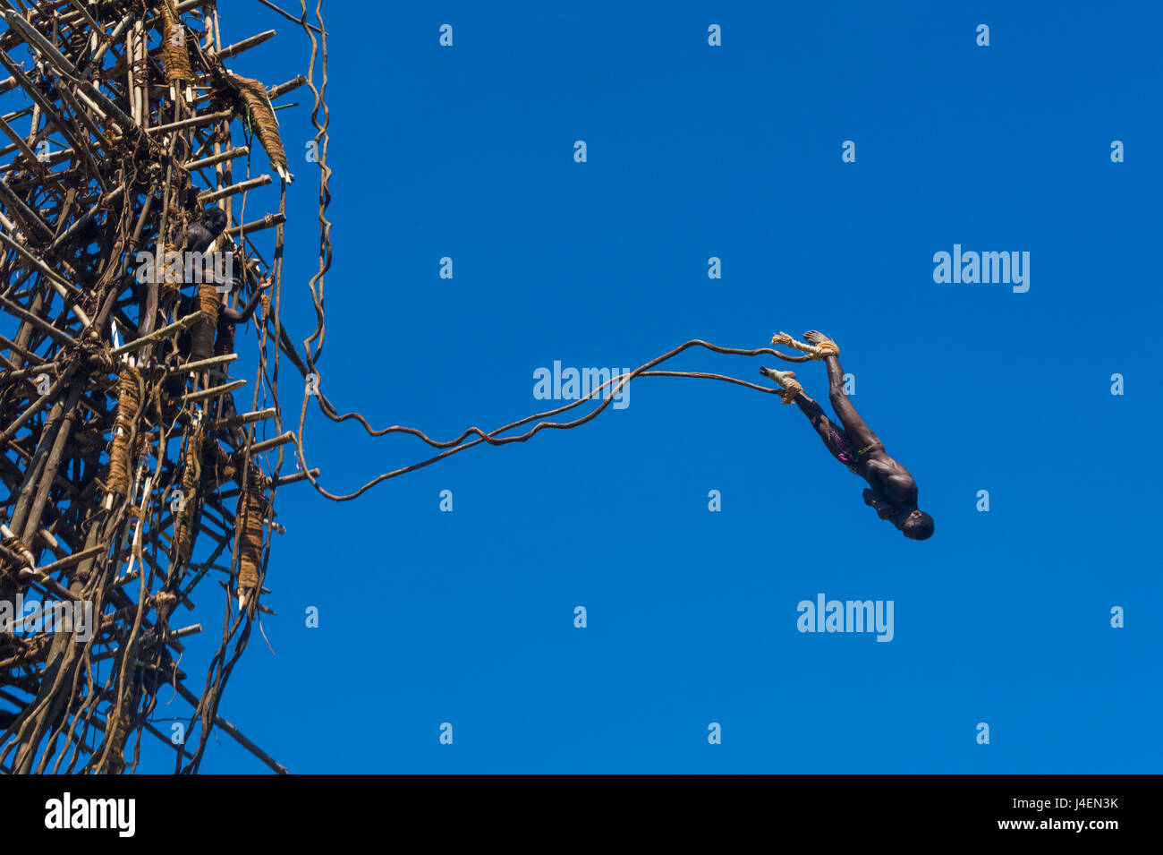 Man jumping from a bamboo tower, Pentecost land diving, Pentecost ...
