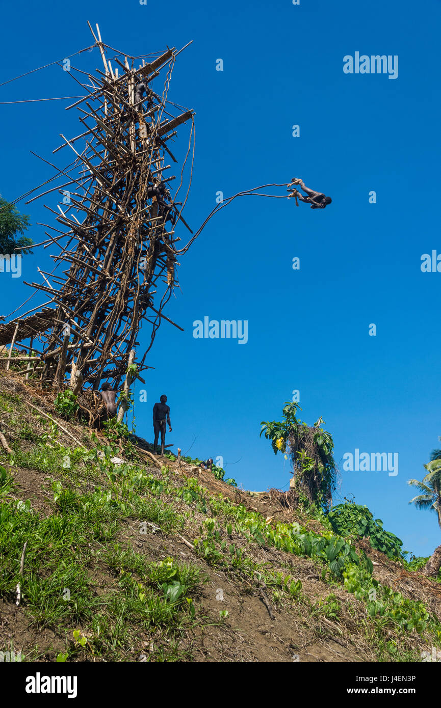 Man jumping from a bamboo tower, Pentecost land diving, Pentecost ...