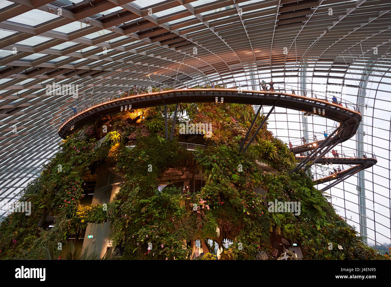 Inside the Cloud Forest biosphere at Gardens by the Bay, Singapore ...
