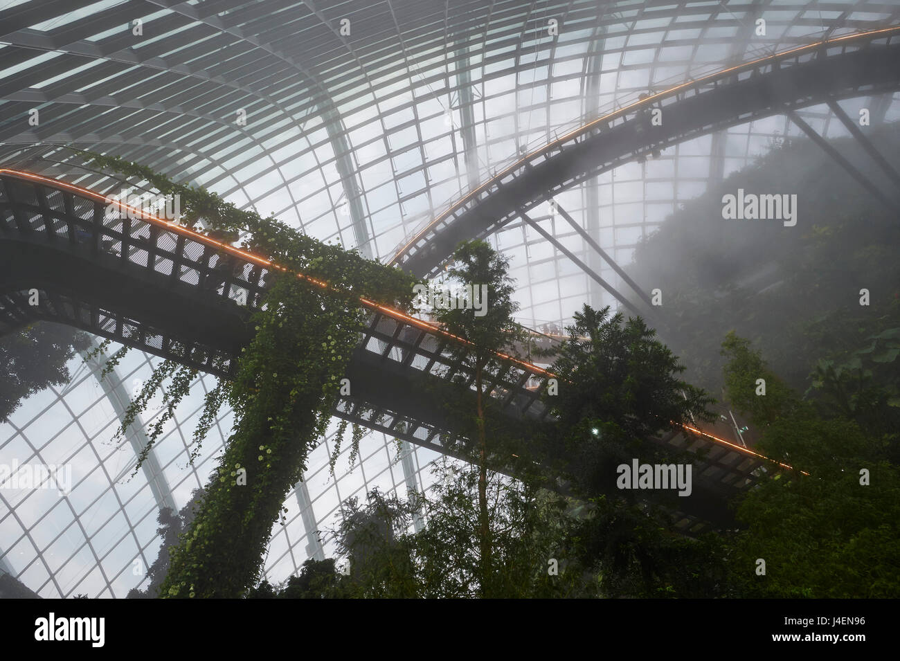 Inside the Cloud Forest biosphere at Gardens by the Bay, Singapore ...