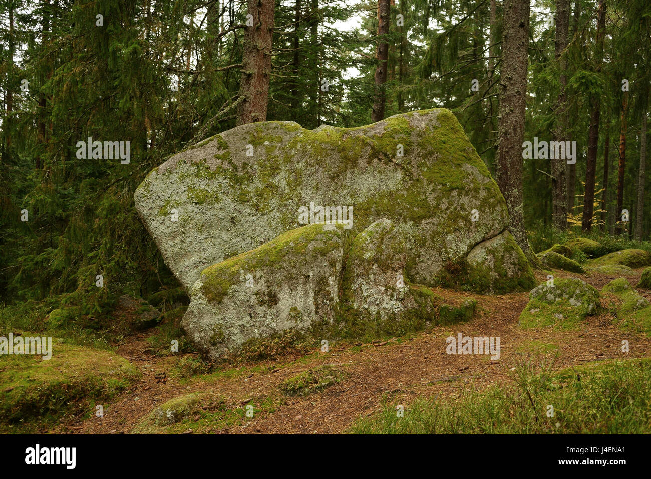 Large rock boulders in forest along Schlüchtsee,Southern Black Forest ...