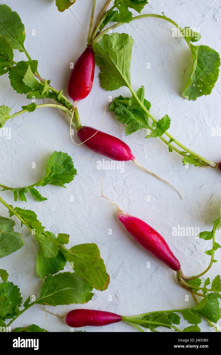 Long organic radishes, close-up Stock Photo - Alamy