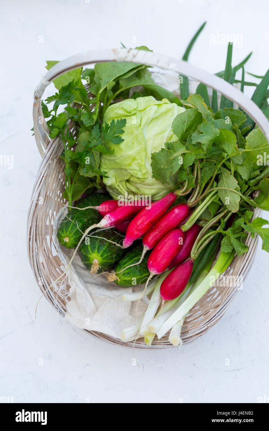 basket with spring vegetables Stock Photo - Alamy