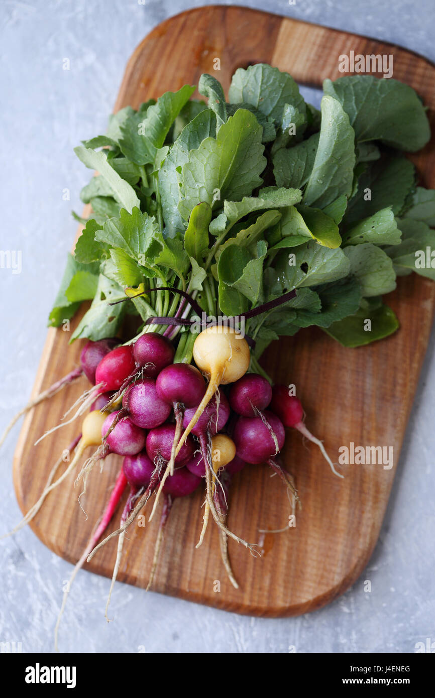 bunch of colorful organic radishes Stock Photo - Alamy