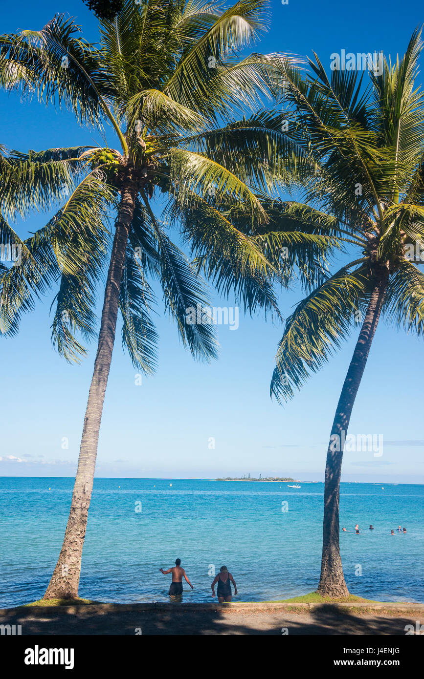 Palm trees, Anse Vata beach, Noumea, New Caledonia, Pacific Stock Photo ...