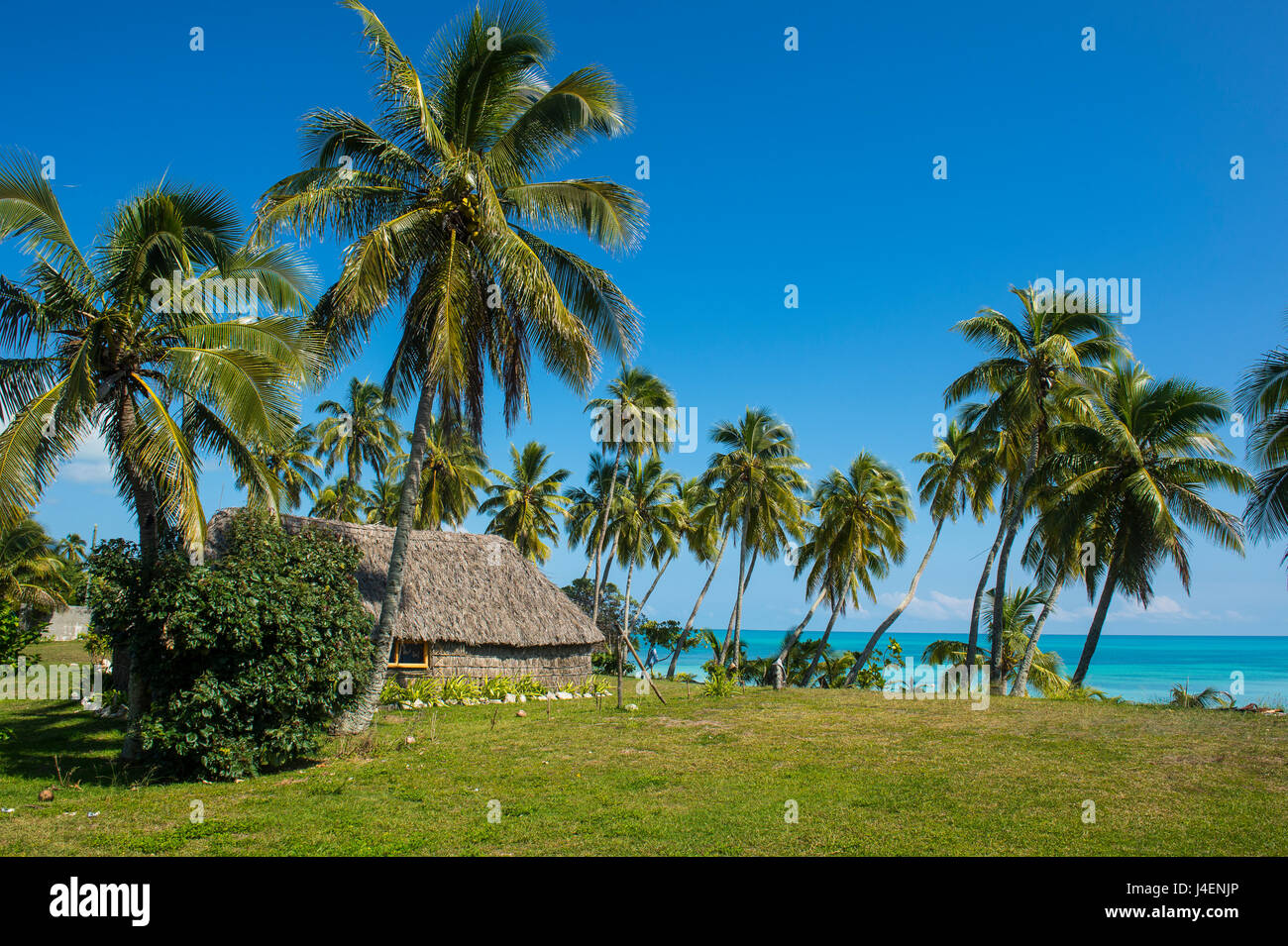 Traditional hut in Saint Joseph, Ouvea, Loyalty Islands, New Caledonia ...
