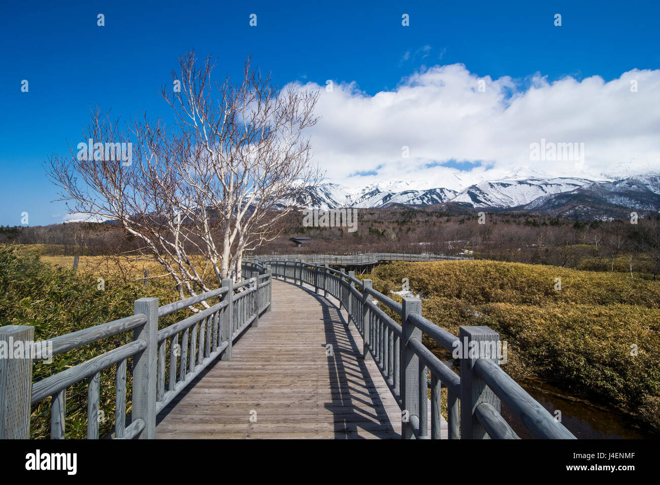 Shiretoko High Resolution Stock Photography and Images - Alamy