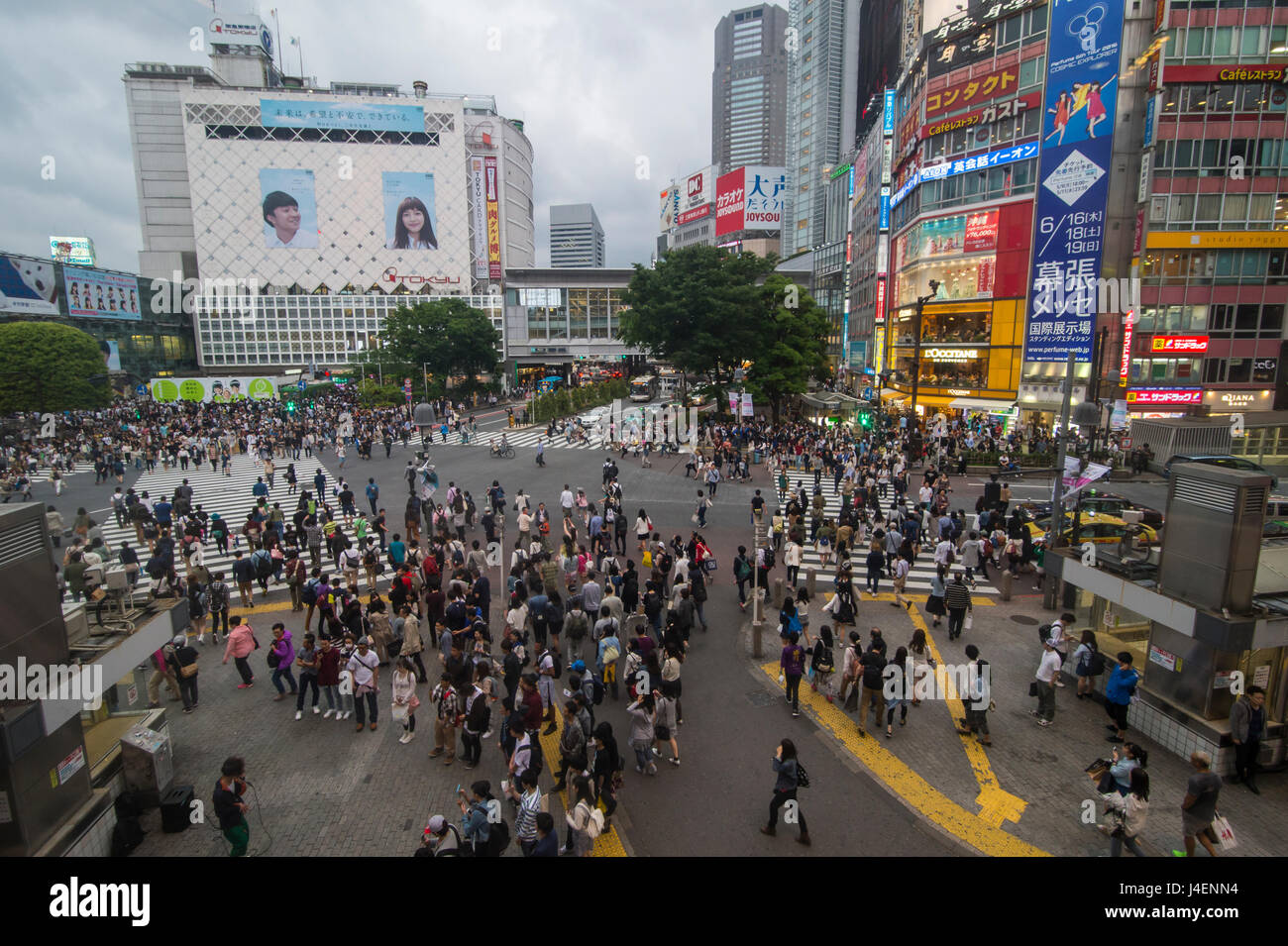 Shibuya crossing, the busiest road crossing in the world, Tokyo, Japan, Asia Stock Photo - Alamy