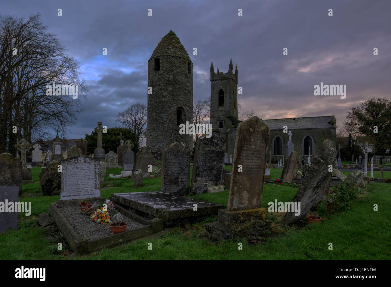 Dromiskin hi-res stock photography and images - Alamy