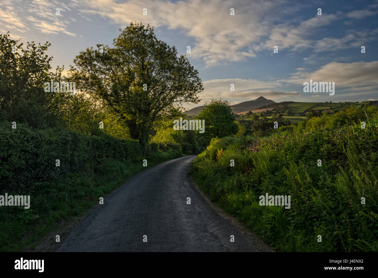 Sugarloaf mountain ireland hi-res stock photography and images - Alamy