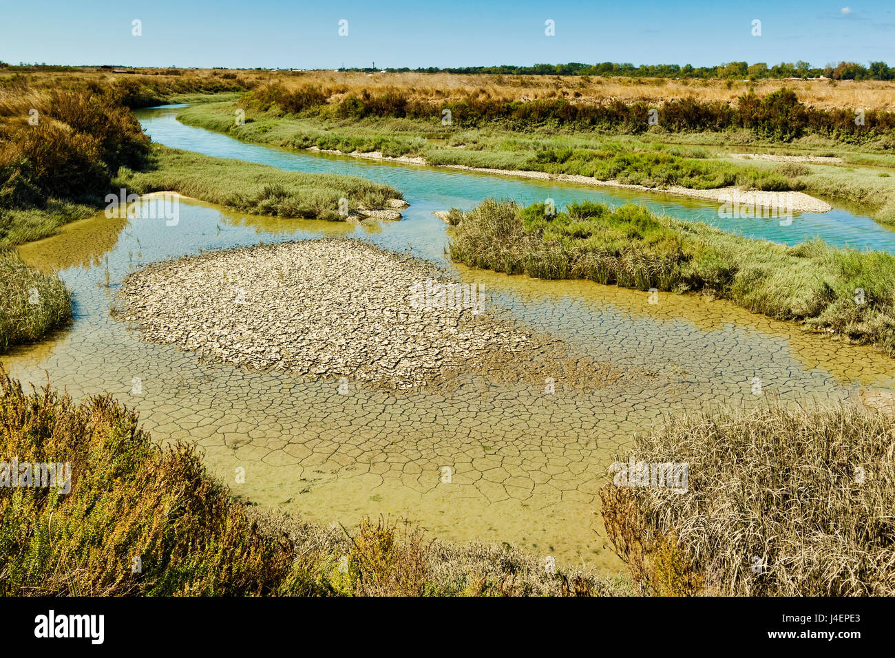 Mud salt marshes salt marsh hi-res stock photography and images - Alamy