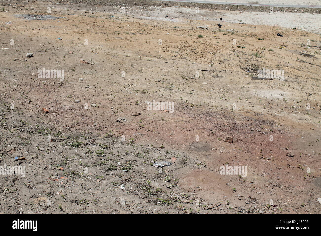 a heap of sand poured out near the forest Stock Photo - Alamy