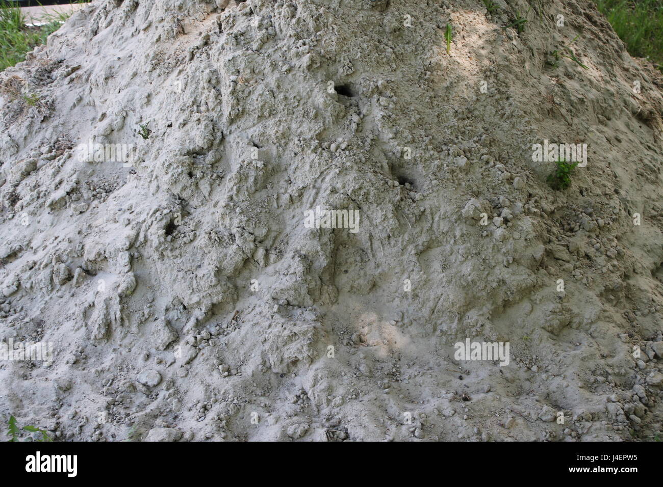 a heap of sand poured out near the forest Stock Photo - Alamy