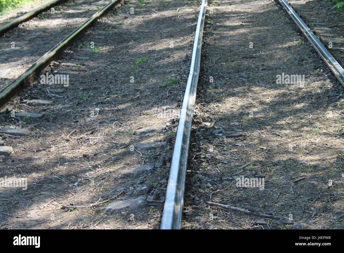 a heap of sand poured out near the forest Stock Photo - Alamy