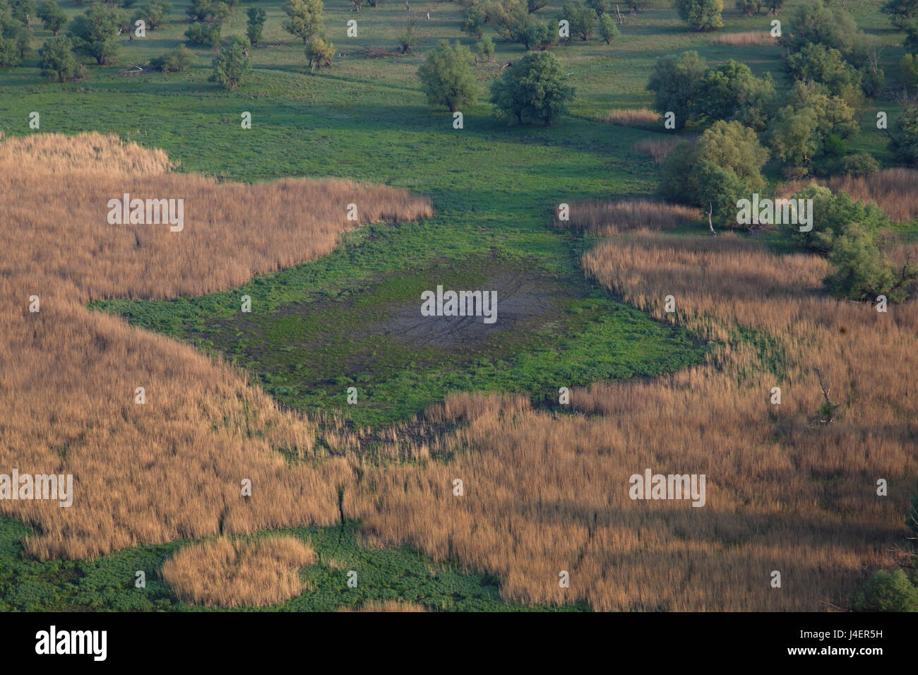 Aerial view of Kopački rit in spring, Croatia Stock Photo - Alamy