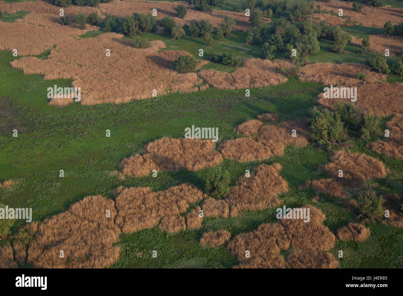 Aerial view of Kopački rit in spring, Croatia Stock Photo - Alamy