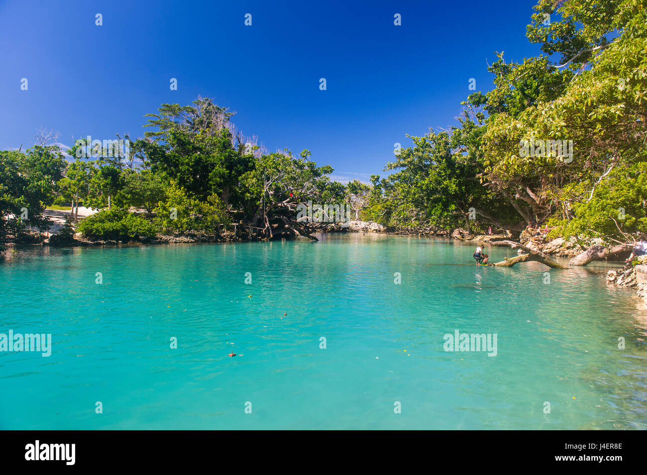Turquoise waters in the blue lagoon, Efate, Vanuatu, Pacific Stock ...