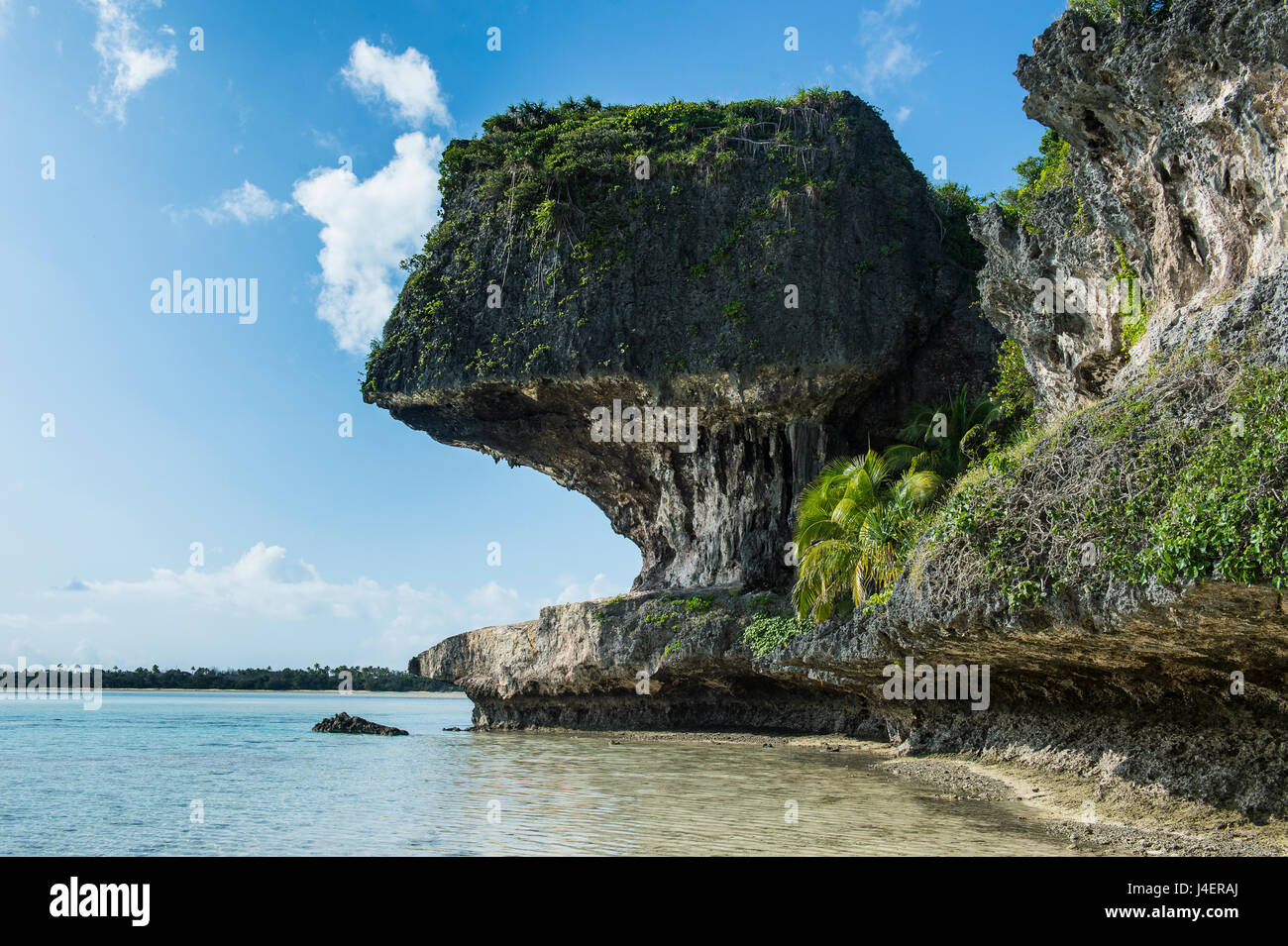 The grey Lekiny cliffs, Ouvea, Loyalty Islands, New Caledonia, Pacific ...