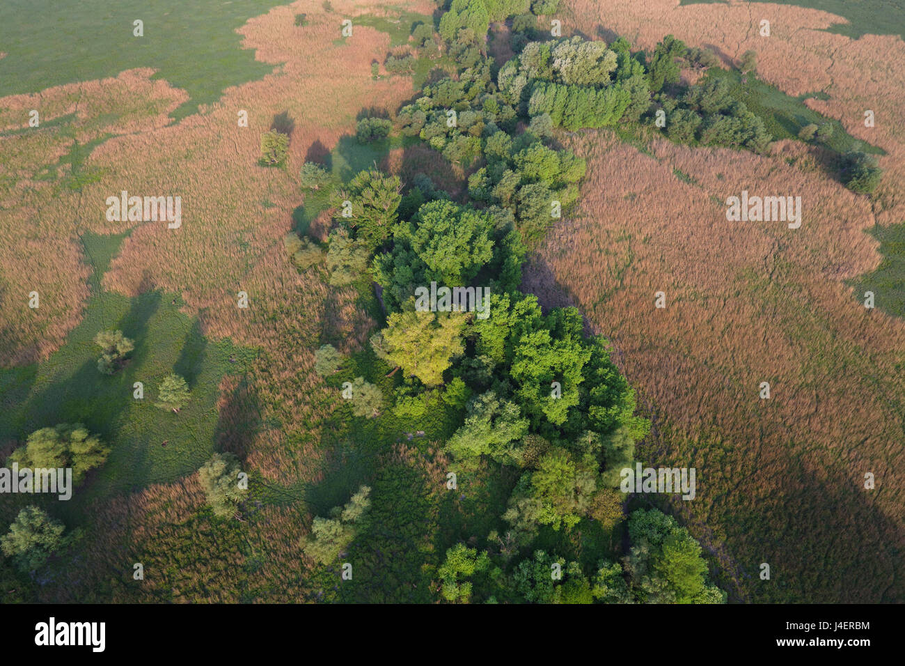 Aerial view of Kopački rit in spring, Croatia Stock Photo - Alamy