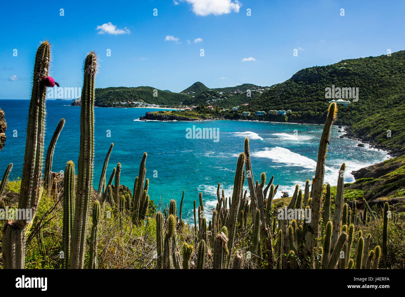 Barth island hi-res stock photography and images - Alamy