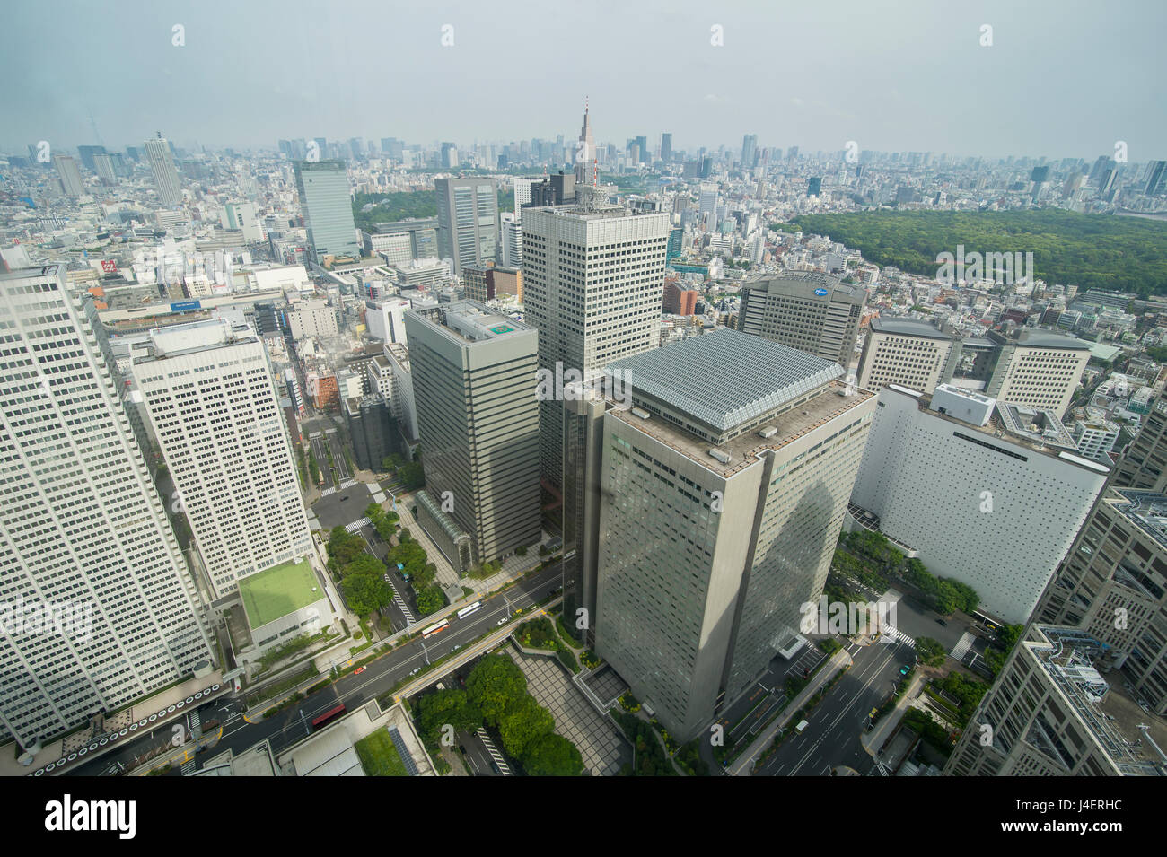 View over Tokyo from the town hall, Shinjuku, Tokyo, Japan, Asia Stock ...