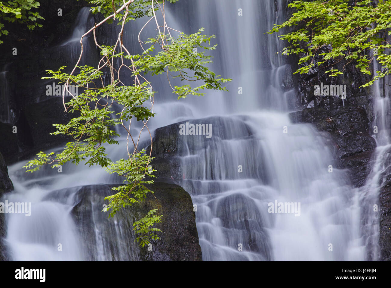 Torc Waterfall, Killarney National Park, near Killarney, County Kerry ...