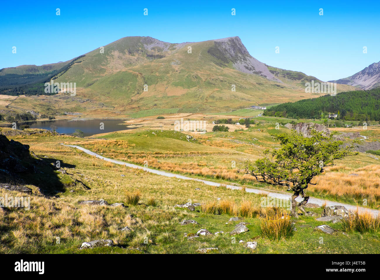 The Nantle Hills seen from The Rhyd Ddu path to Snowdon, Snowdonia ...