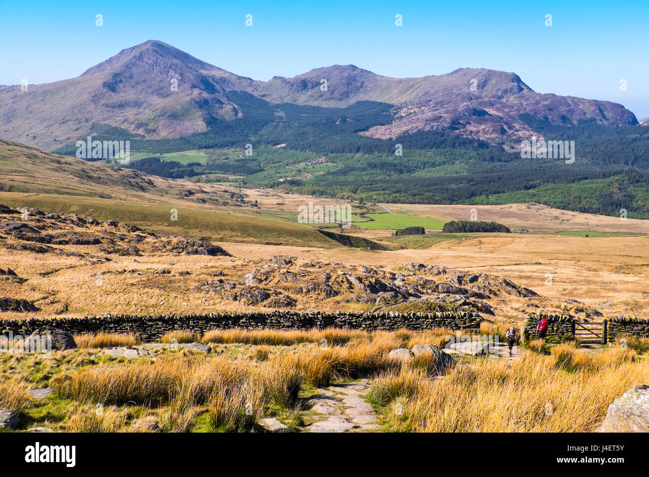 Moel hi-res stock photography and images - Alamy