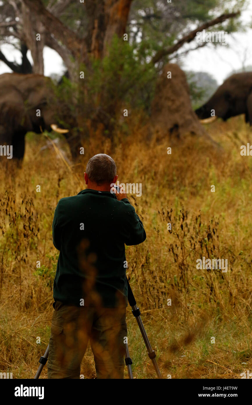 Professional wildlife photographer photographing elephants in his ...