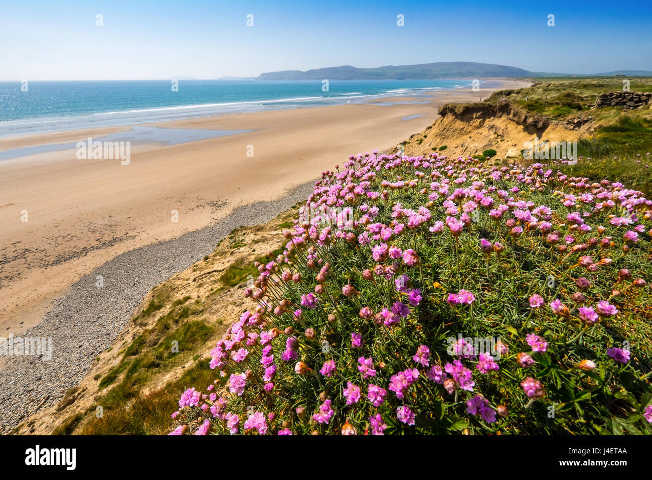 Hell's Mouth ( Porth Neigwl ) a popular surf beach on the tip of the Lleyn (Llyn) Peninsula in ...