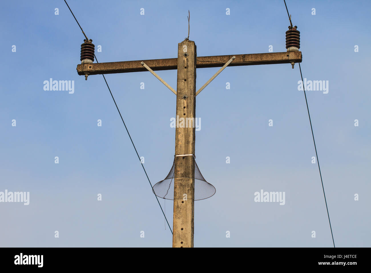 Nylon mesh prevent snake to climb on electric pole, and blue sky ...