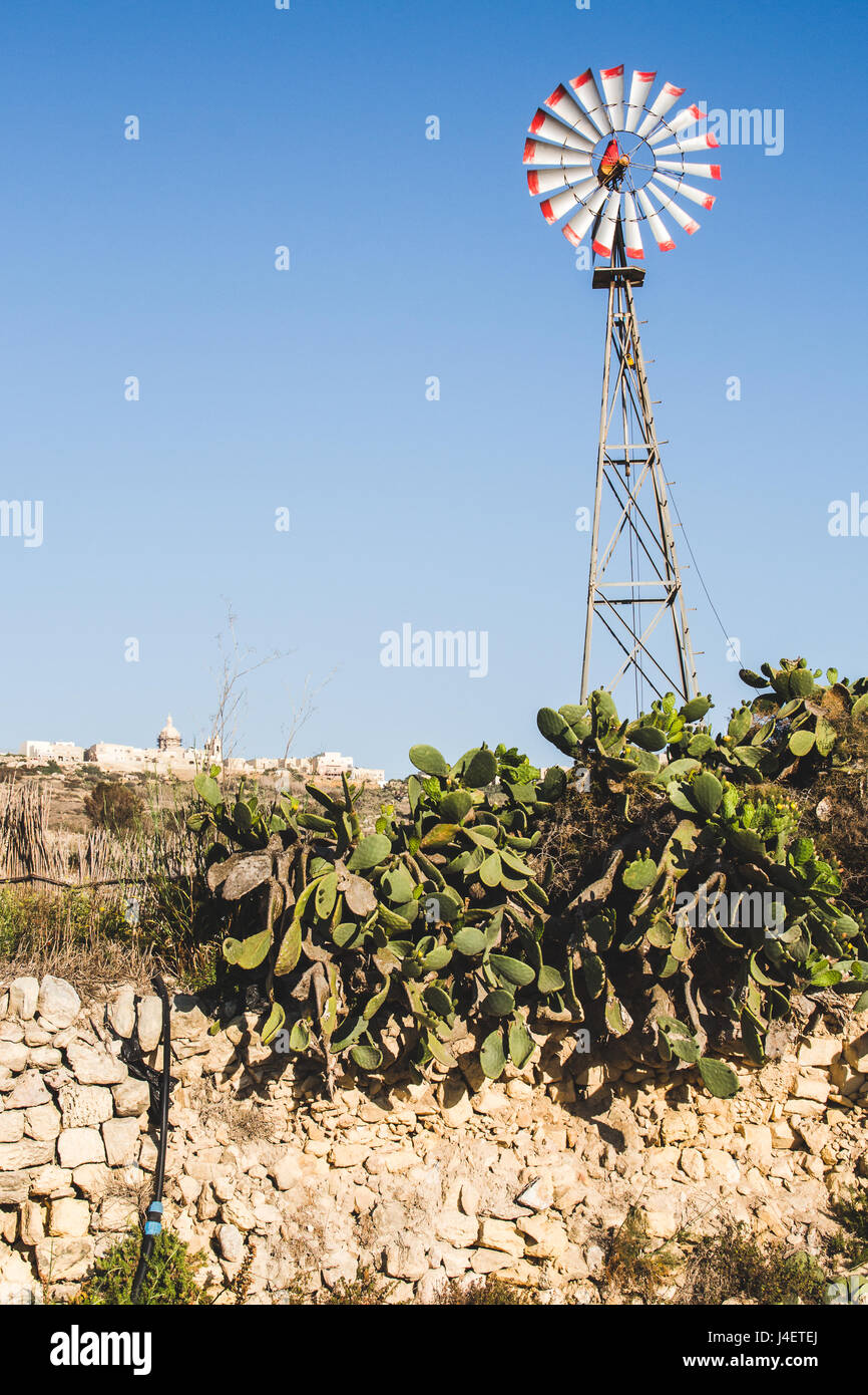 Windmill and prickly pear plant pictured in a typical countryside scene ...