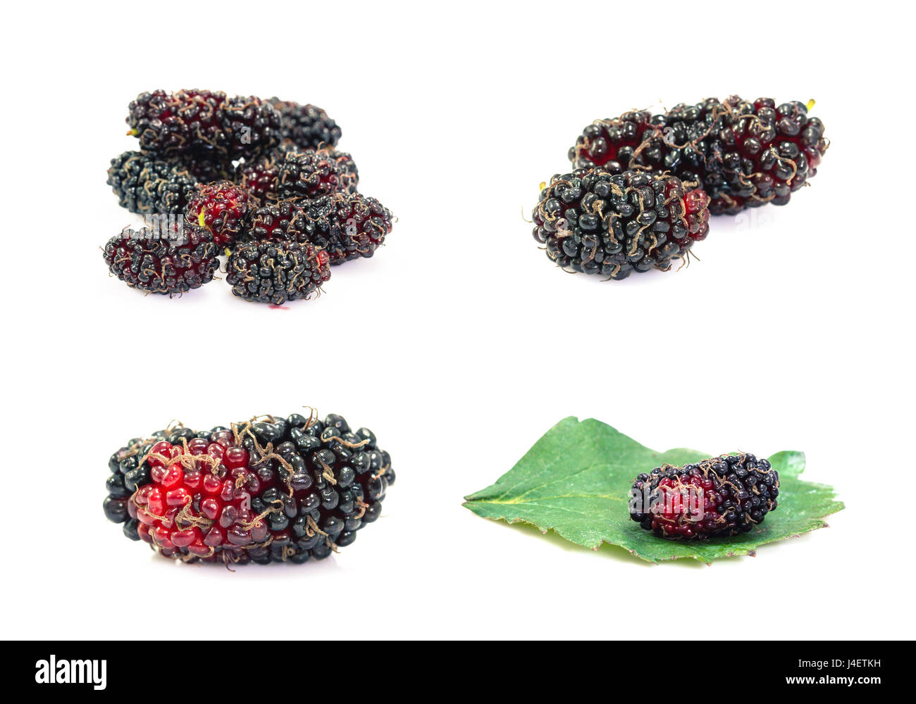 set of close up Mulberry isolated on white background Stock Photo - Alamy