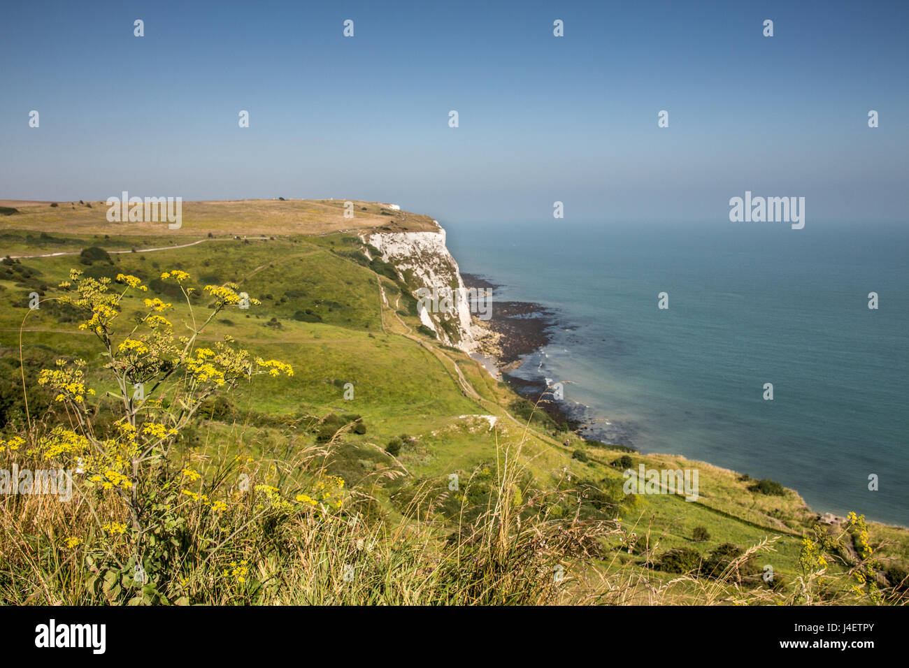 Cliffs of dover cover girl - bapkool