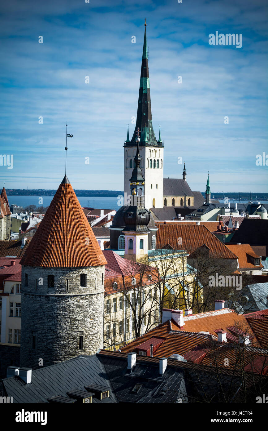 Tallinn capital of Estonia in the Baltic Stock Photo - Alamy