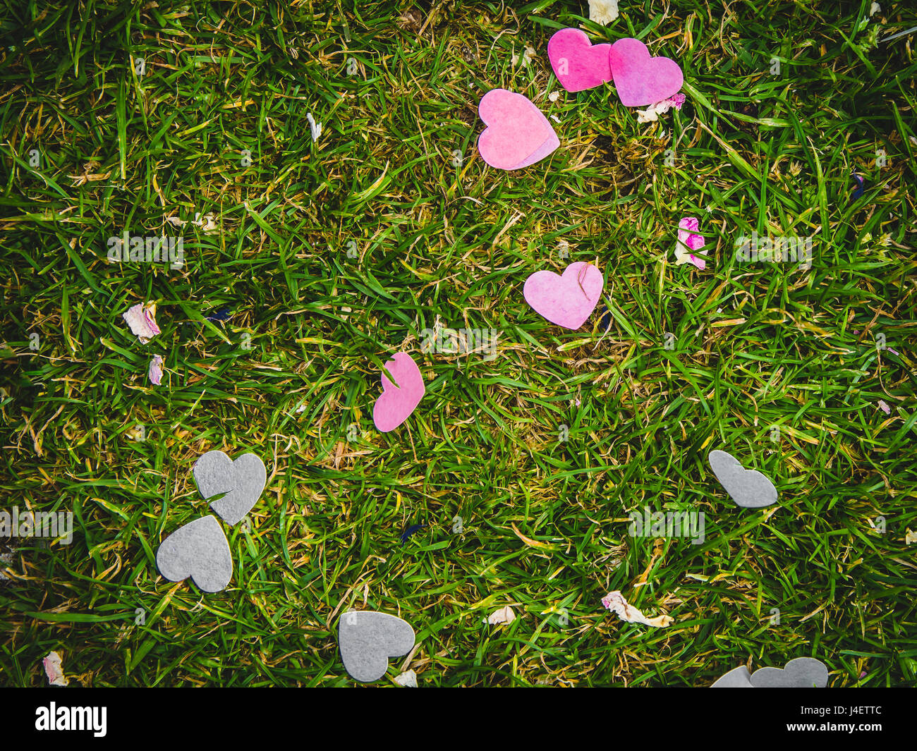 Heart confetti scattered onto green grass at a wedding reception Stock ...