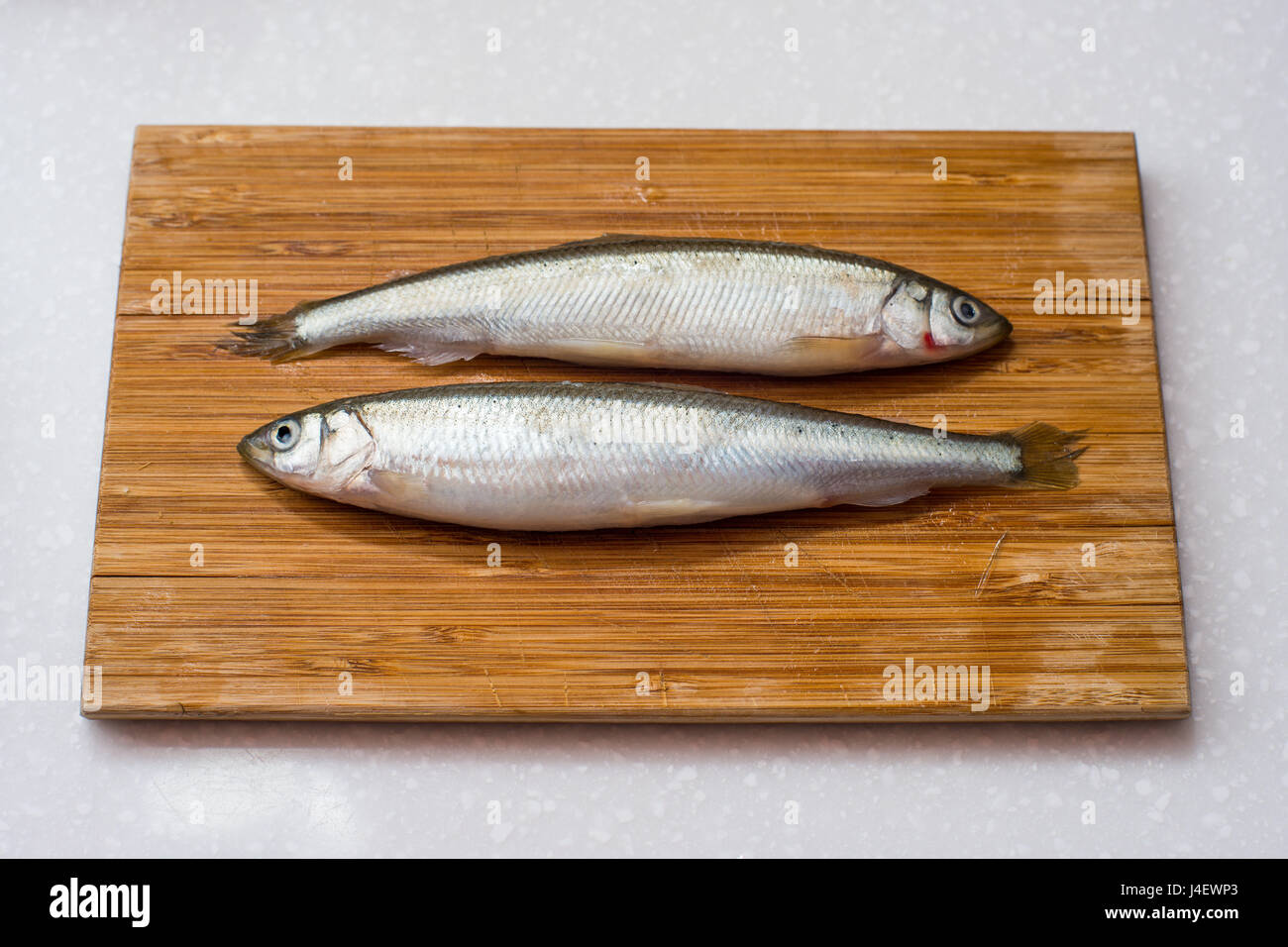 Fresh smelt fishes on white background for food Stock Photo - Alamy