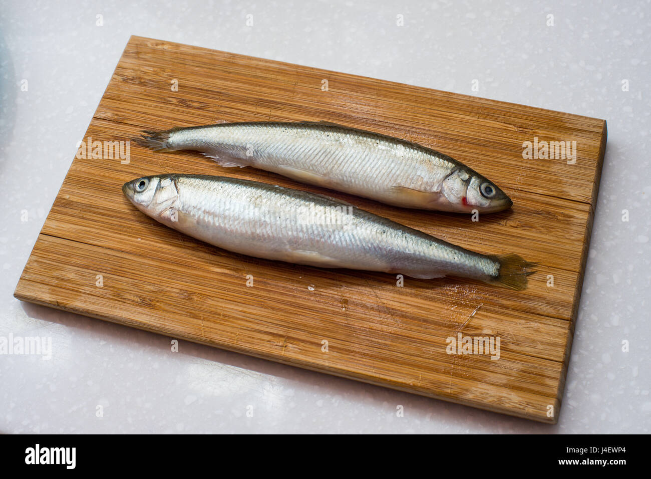 Fresh smelt fishes on white background for food Stock Photo - Alamy