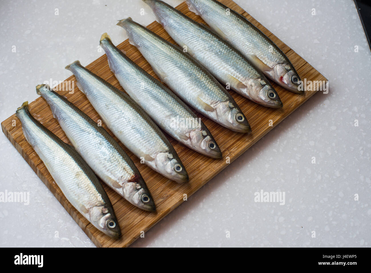 Smelt european smelt osmerus eperlanus hi-res stock photography and ...