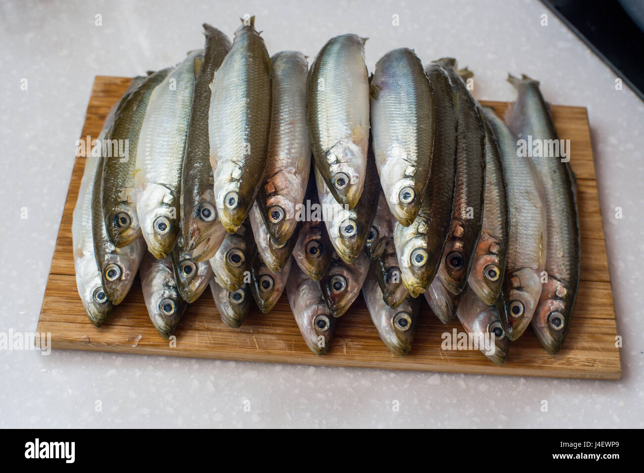 Fresh smelt fishes on white background for food Stock Photo - Alamy