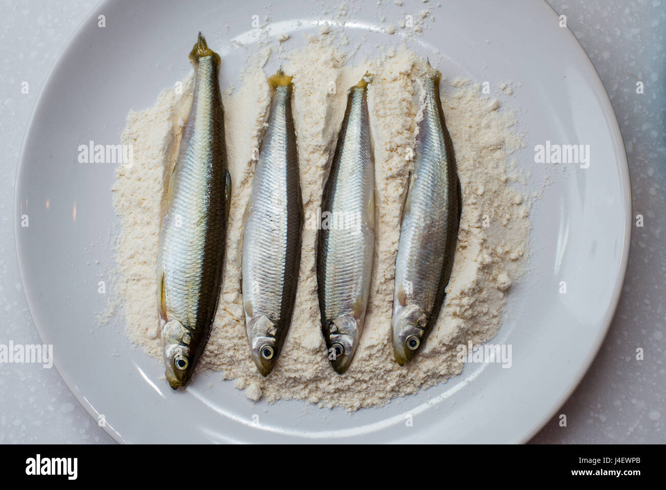 Roach fish sprinkled with flour - ready for fry Stock Photo - Alamy