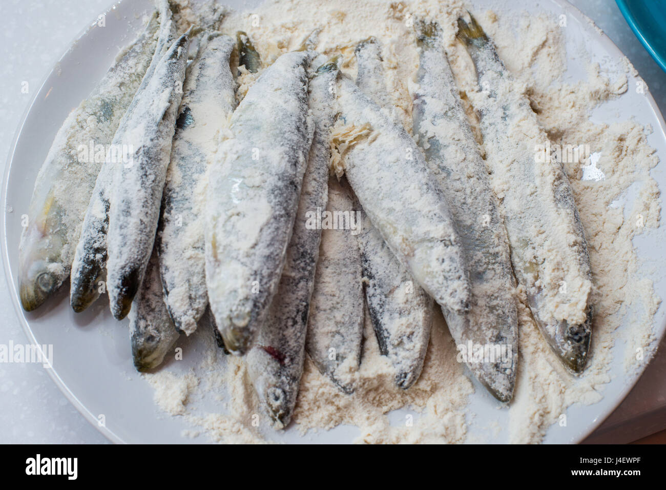 Roach fish sprinkled with flour - ready for fry Stock Photo - Alamy