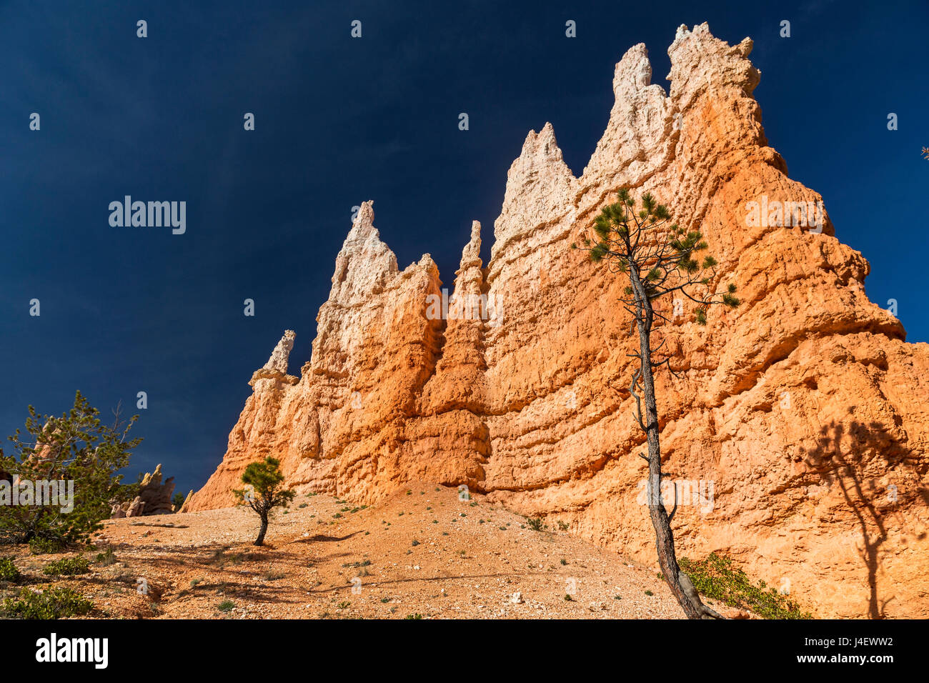 Hoodoo Rock Formations in Bryce Canyon National Park, Utah, United ...