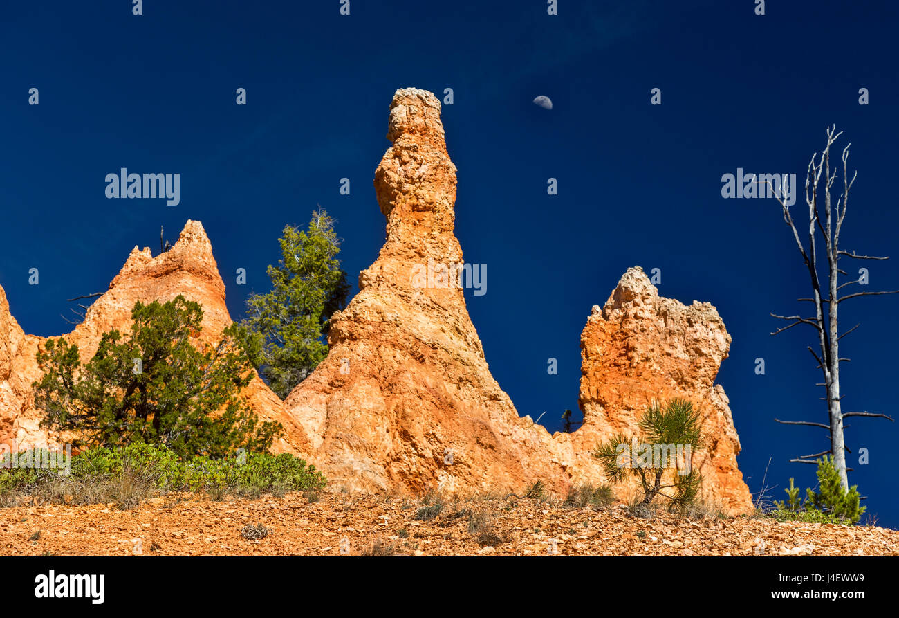 Full Moon and Blue Sky above Hoodoo Rock Formations. Scenic Bryce ...