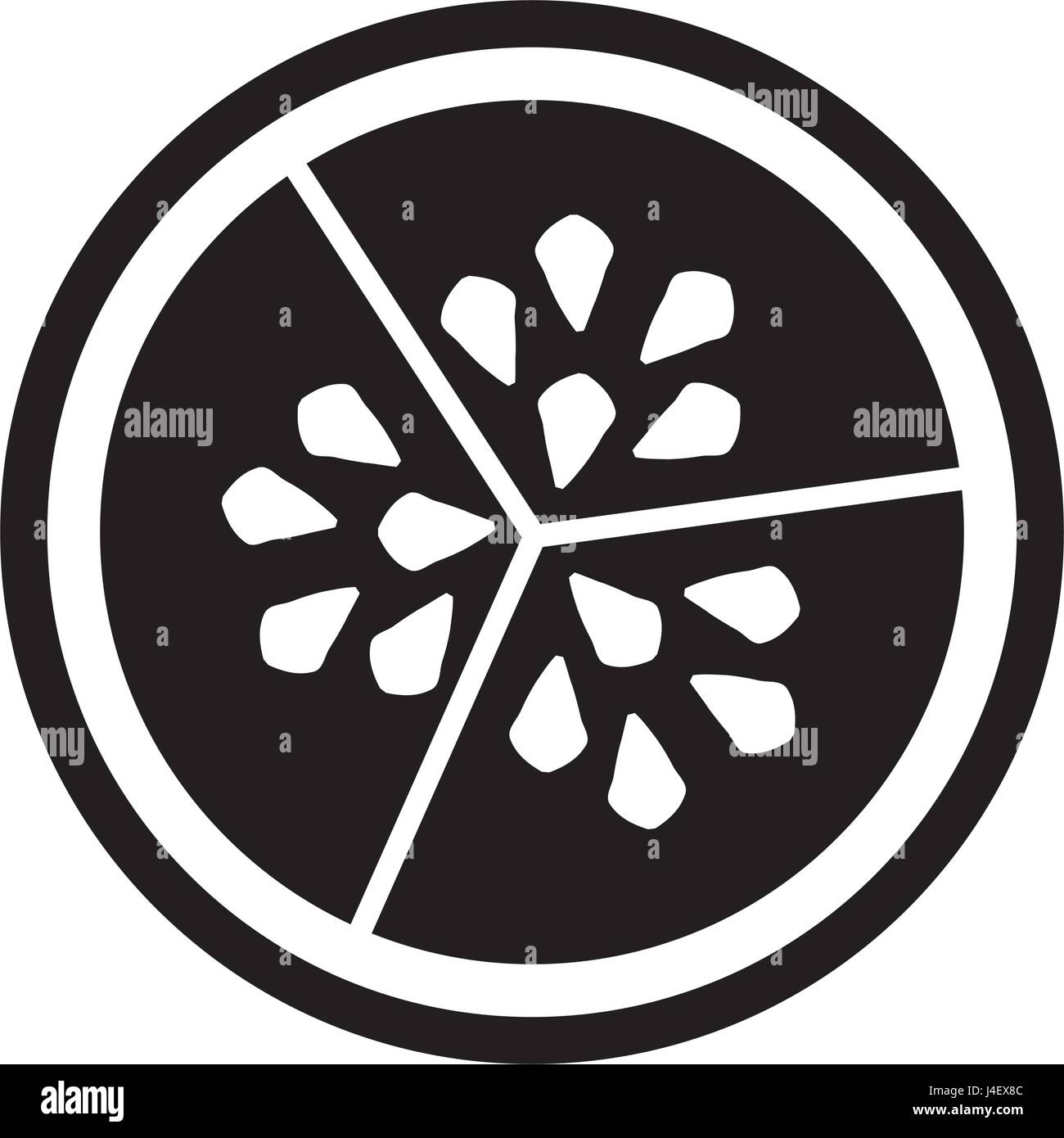 cucumber vegetable seeds Stock Vector Image & Art - Alamy