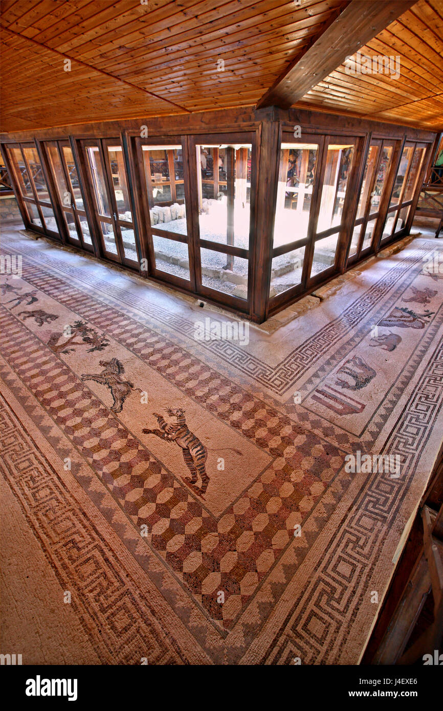 Inside the "House of Dionysus", full of fantastic Roman mosaic floors ...
