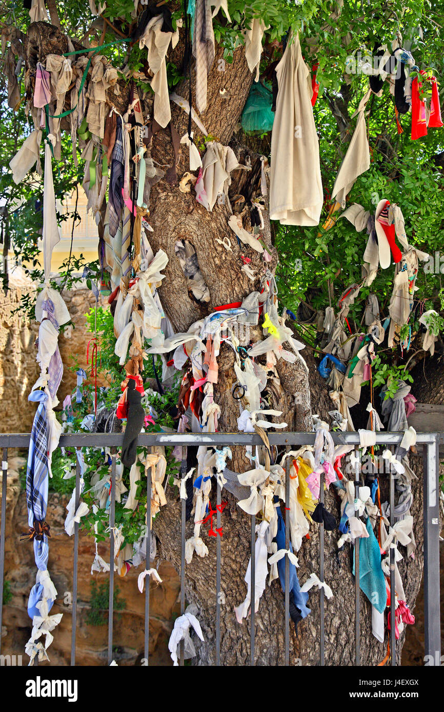 Sacred tree adorned by colourful rags and bits of clothing left by the ...