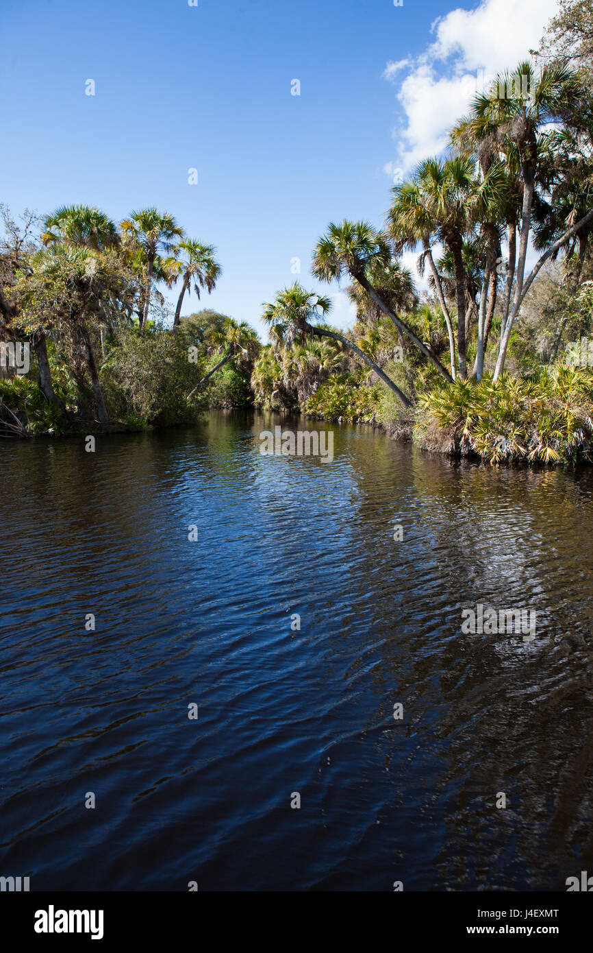 Myakka river in Florida Stock Photo - Alamy